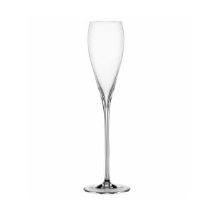Libbey 3773 5 1/2 oz Embassy Champagne Glass - Safedge Rim & Foot Guarantee