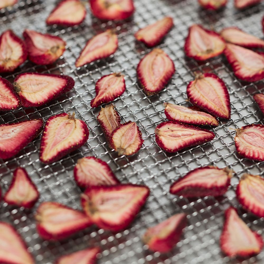 Waring WDH10 10 Tray Countertop Commercial Dehydrator w/ Glass Door