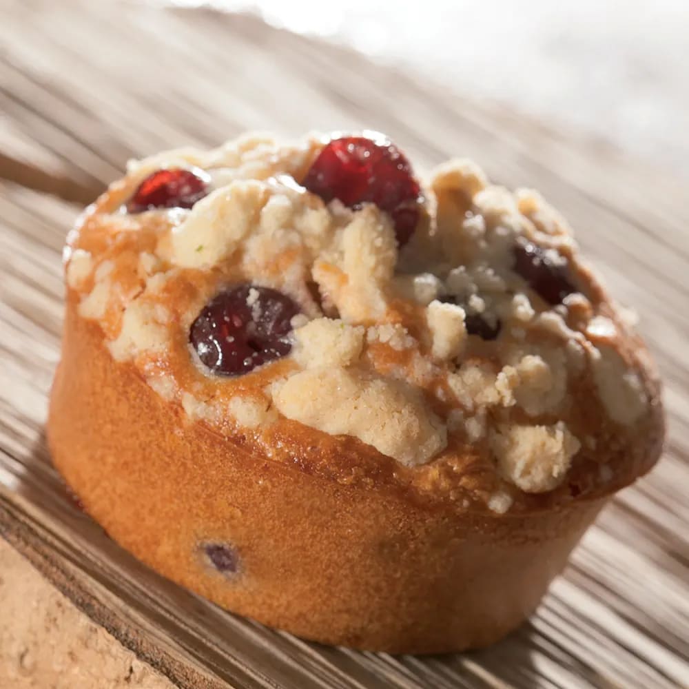 Sasa Demarle Flexipan® Tatin Apple Tarts/Quiches Mold w/ 12 Sections ...