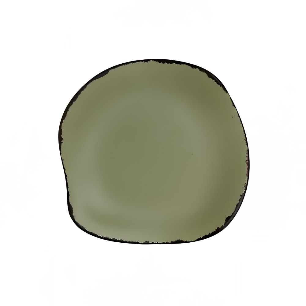 Steelite 7216DD025 9 1/2" Round Melamine Plate, Marisol Rustic Sage