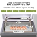 VacMaster VP230 Chamber Vacuum Sealer w/ 12 1/4" Seal Bar, 110v