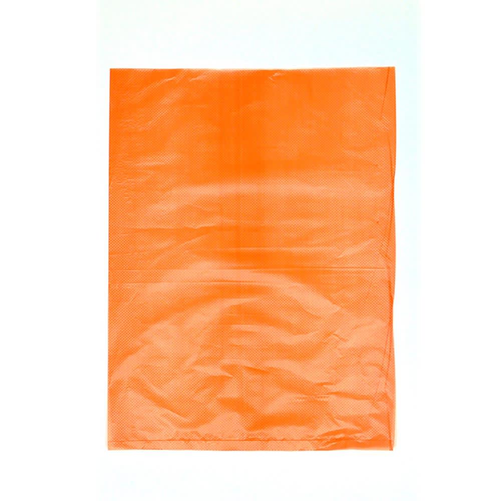 LK Packaging Merchandise Bag - 10" x 13", 0.6 mil HDPE, Orange (C13OE)