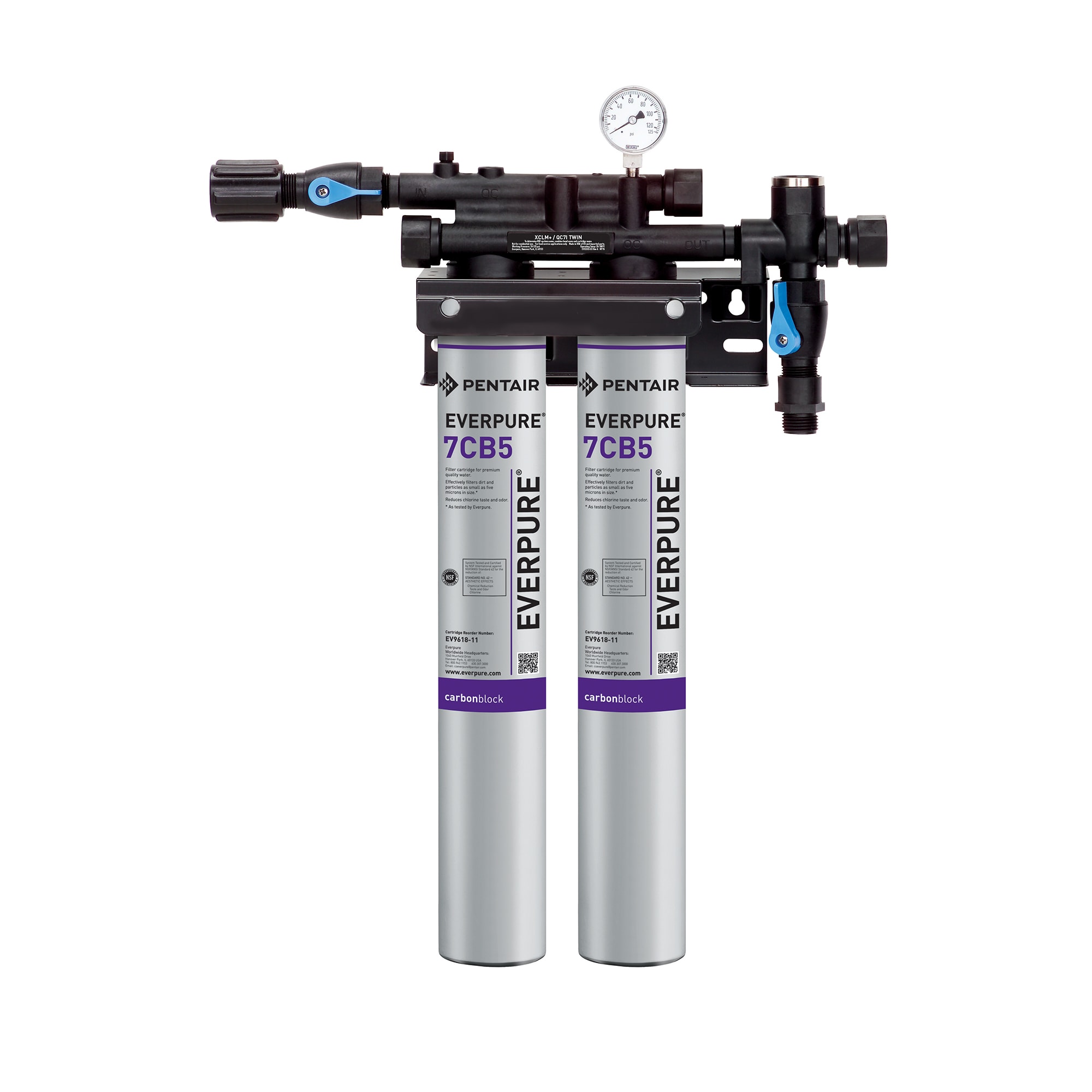 Everpure EV979740 KleenSteam II® Twin 7CB5 Primary Water Filter ...